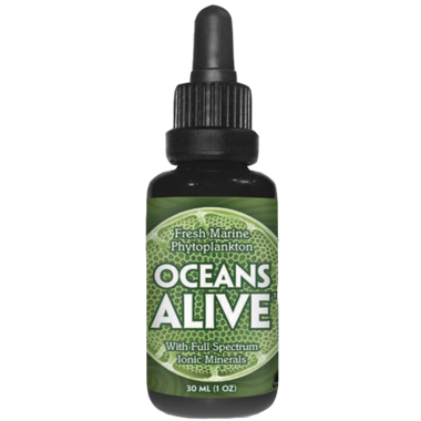 Buy Oceans Alive Fresh Marine Phytoplankton at Well.ca | Free Shipping ...