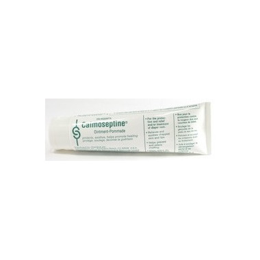 Buy Calmoseptine Ointment at Well.ca | Free Shipping $35+ in Canada