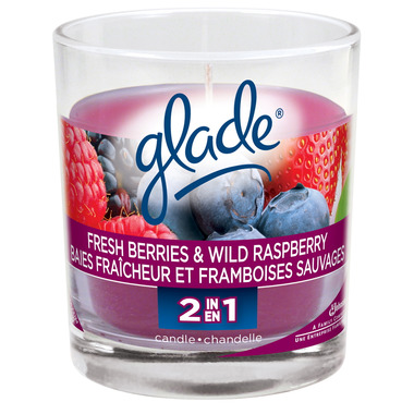 Buy Glade 2 In 1 Scented Candle at Well.ca | Free Shipping $35+ in Canada
